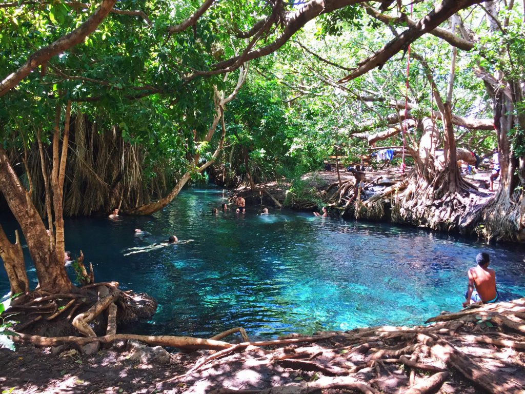 Chemka /Kikuletwa Hot Spring Day Tour - Boker Adventures