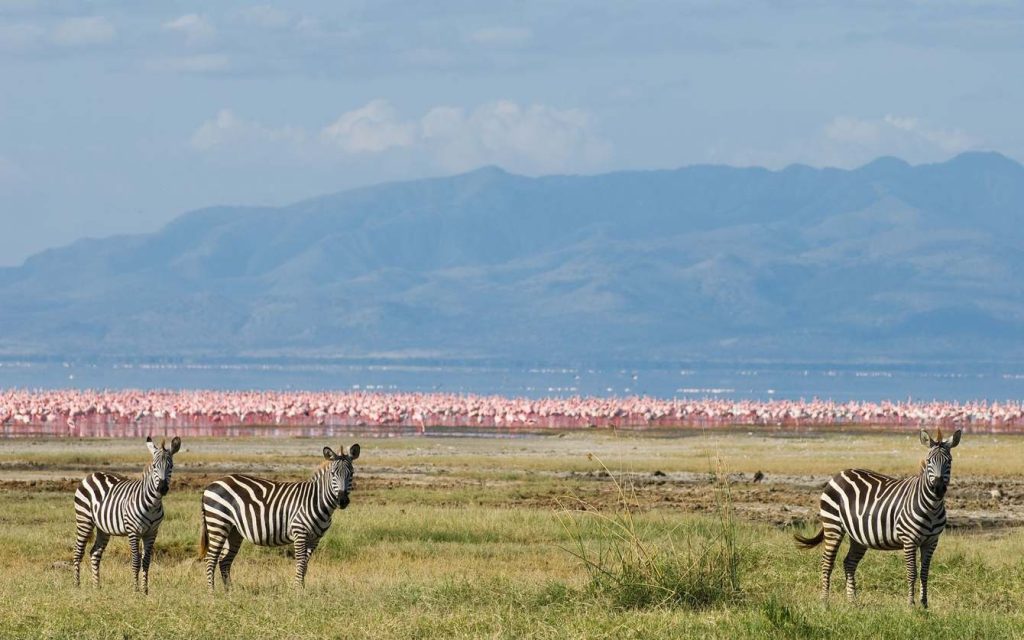 Lake Manyara N.P Archives - Boker Adventures