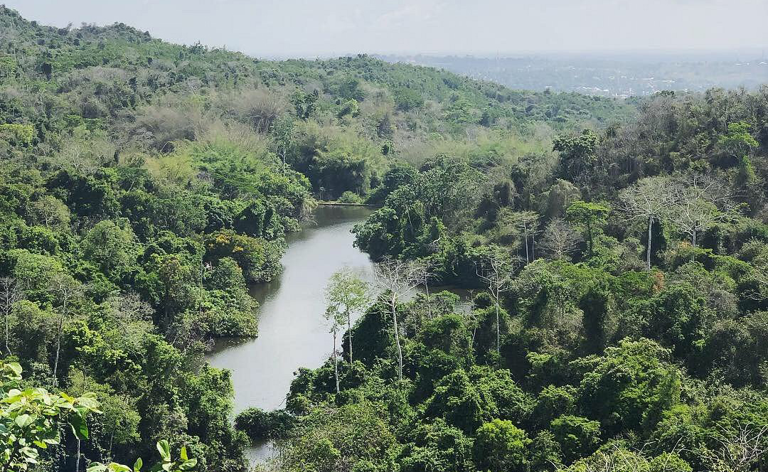 Pugu Hills Forest Hiking - Boker Adventures