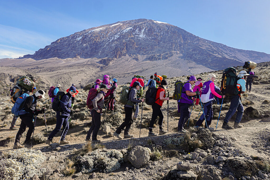 Join the Best Group Tours for Climbing Kilimanjaro - Boker Adventures